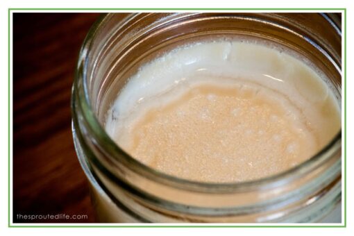 when fermenting goes bad, literally {coconut milk yogurt, part 2} | the ...